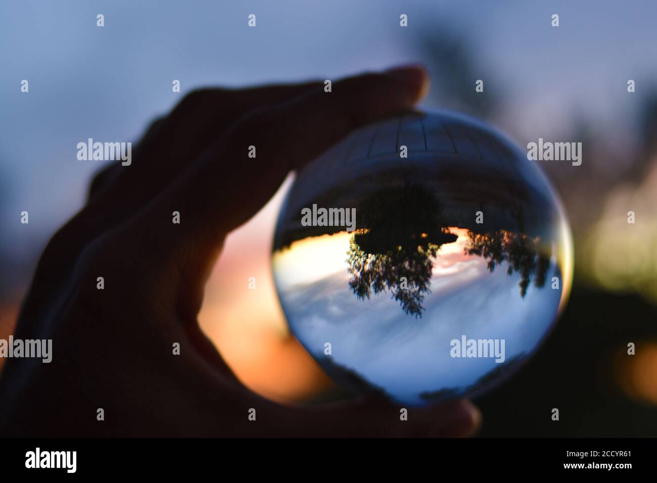 photographing through a Lensball Stock Photo - Alamy
