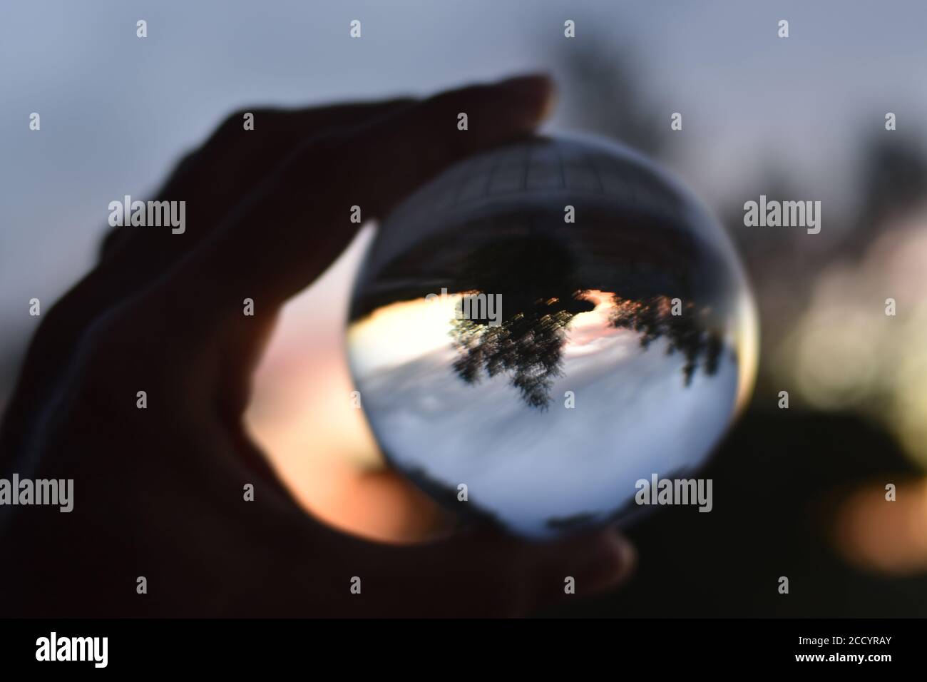 photographing through a Lensball Stock Photo - Alamy