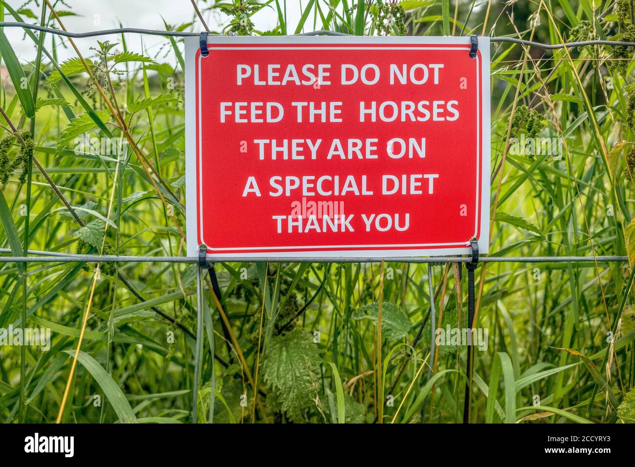 Please Do Not Feed The Horses - They Are On A Special Diet - Thank You ...