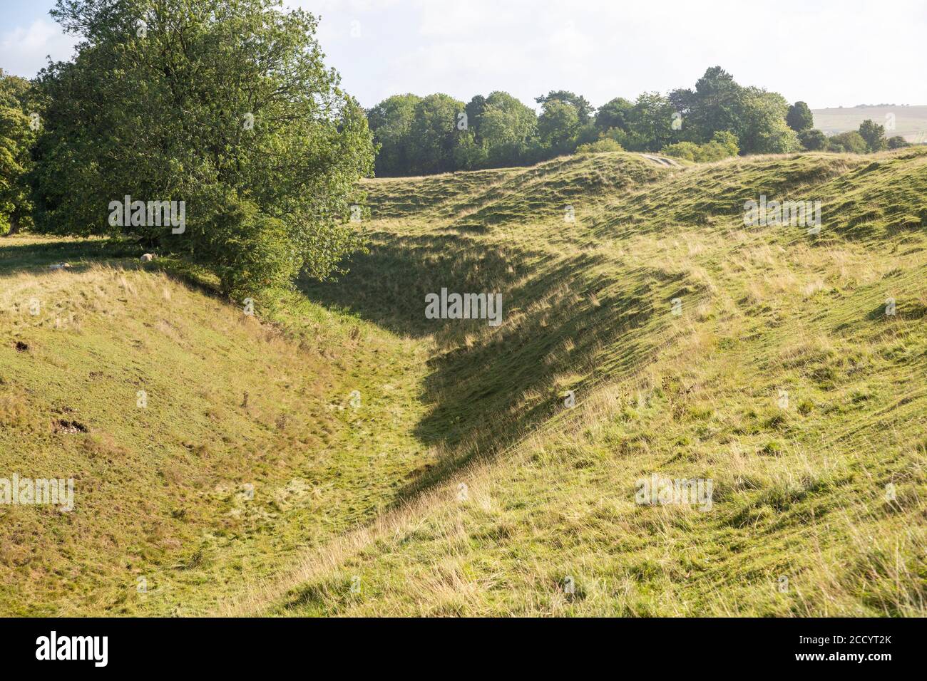 Prehistoric earth hi-res stock photography and images - Alamy