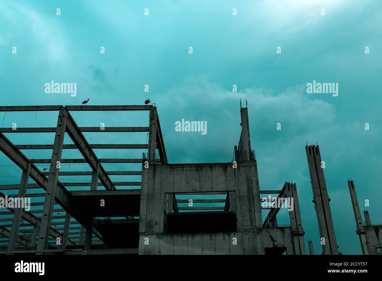 Storks on unfinished concrete building in dusk, toned image Stock Photo ...