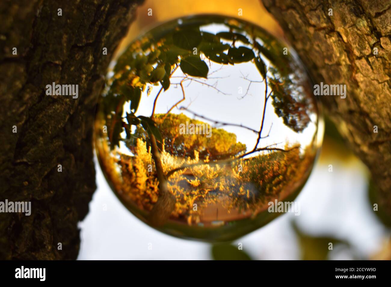 photographing through a Lensball Stock Photo - Alamy