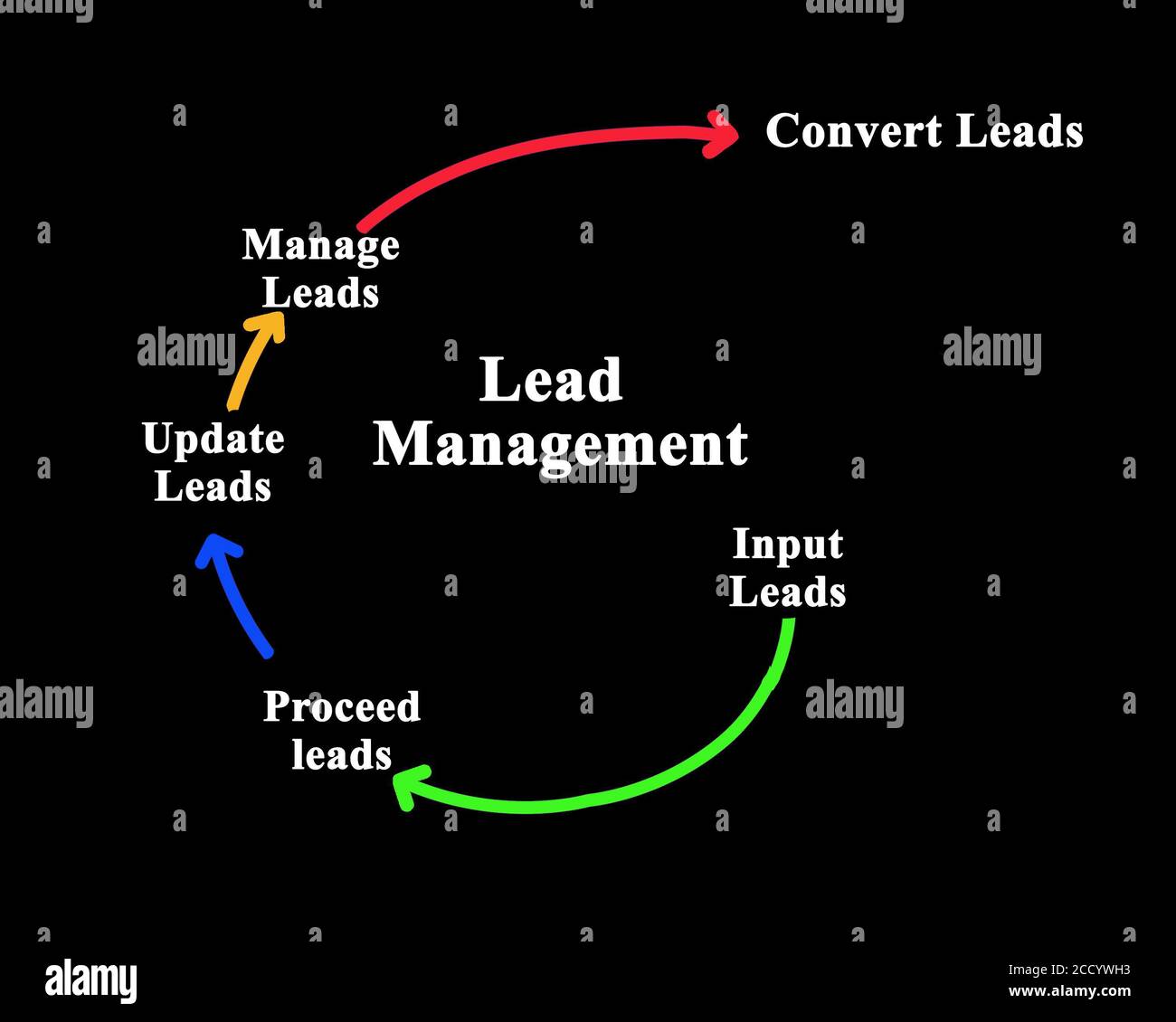 Components of lead management process Stock Photo - Alamy