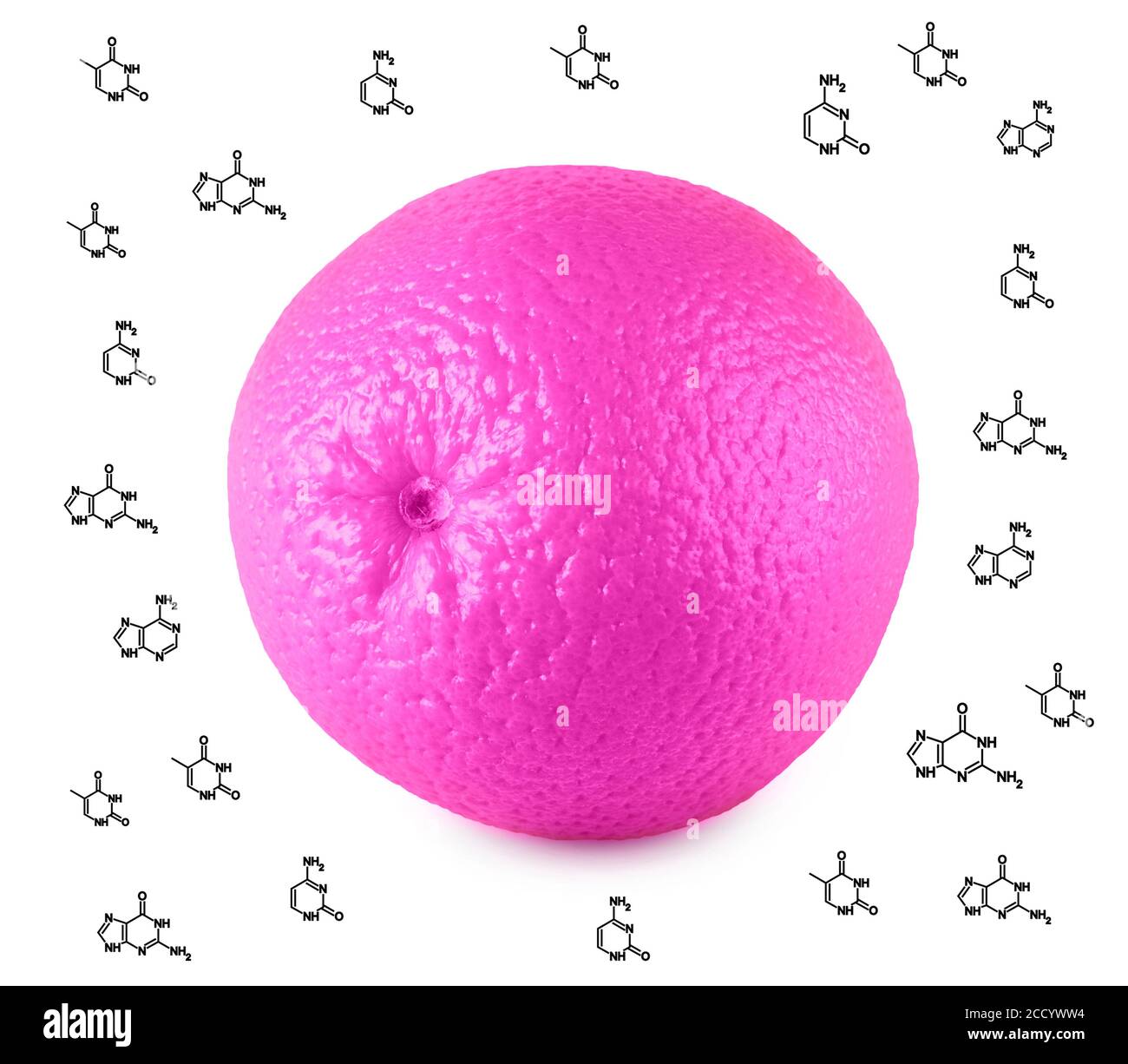 Genetic food modifications. Collage with purple orange fruit and ...