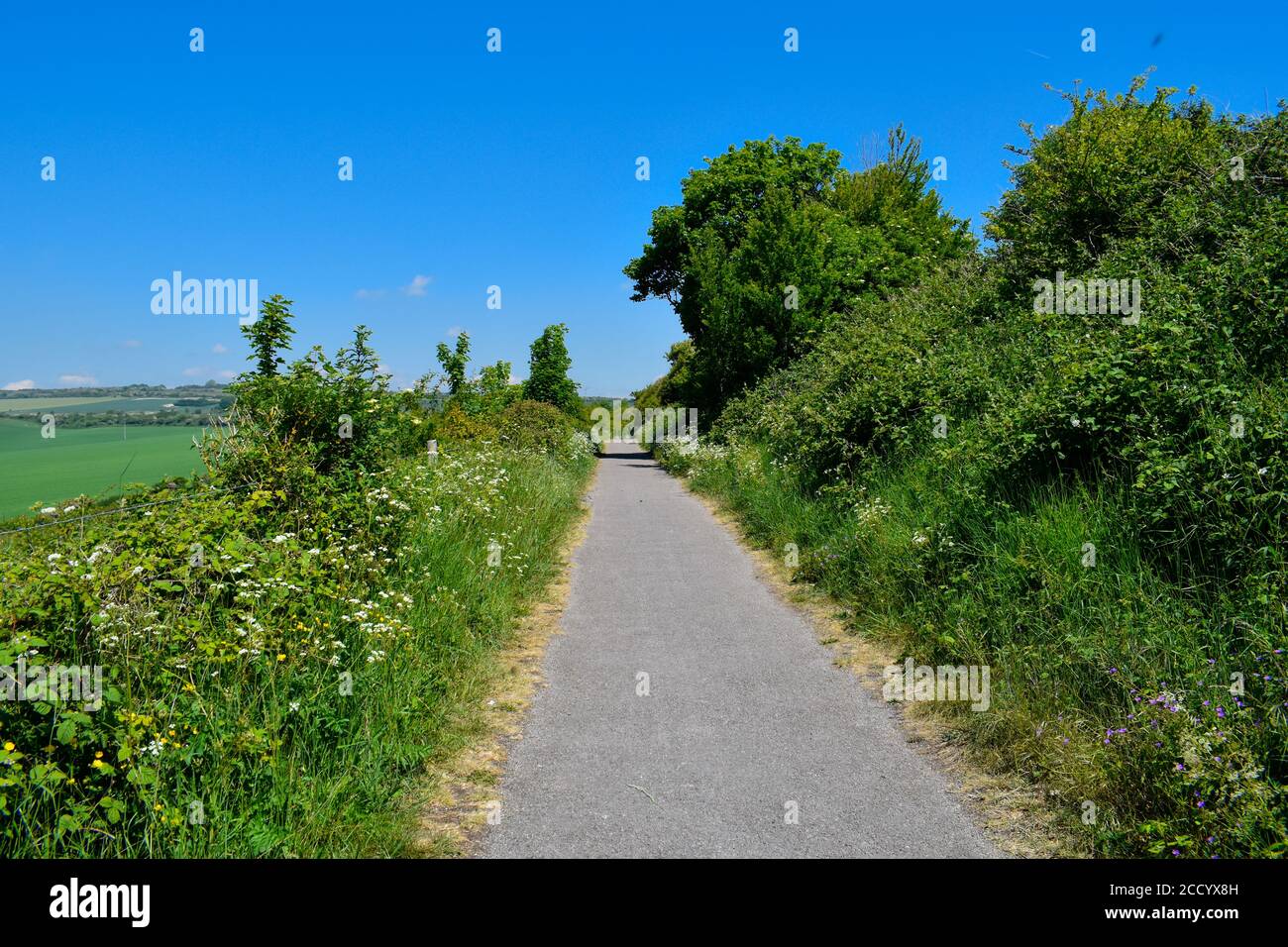 Path through English countryside, South Downs Way in Sussex Stock Photo ...