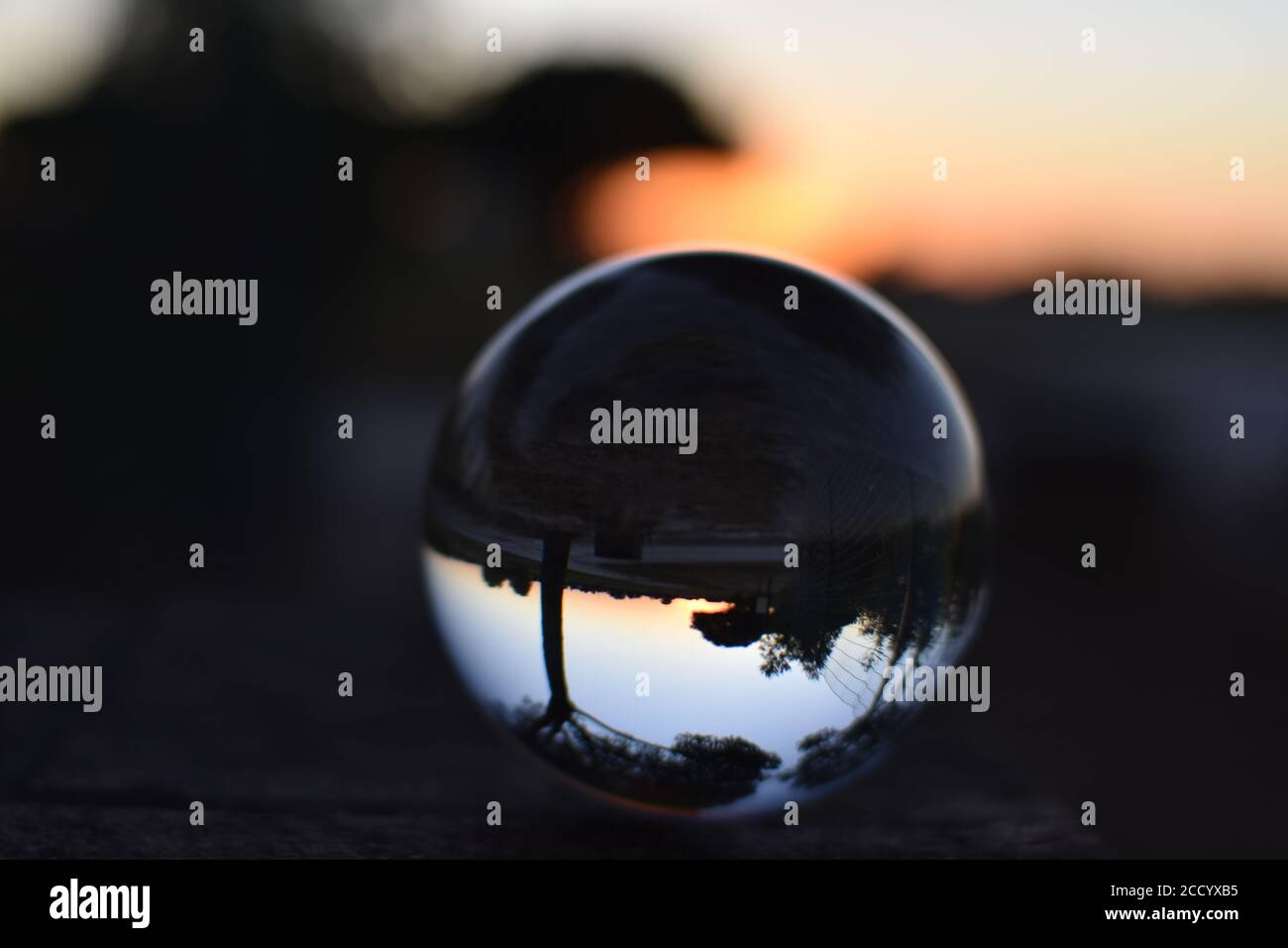 photographing through a Lensball Stock Photo - Alamy