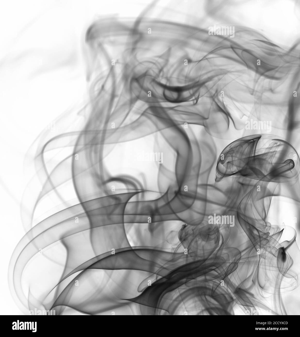 Abstract silky smoke shape on white backdrop. Clean monochrome ...