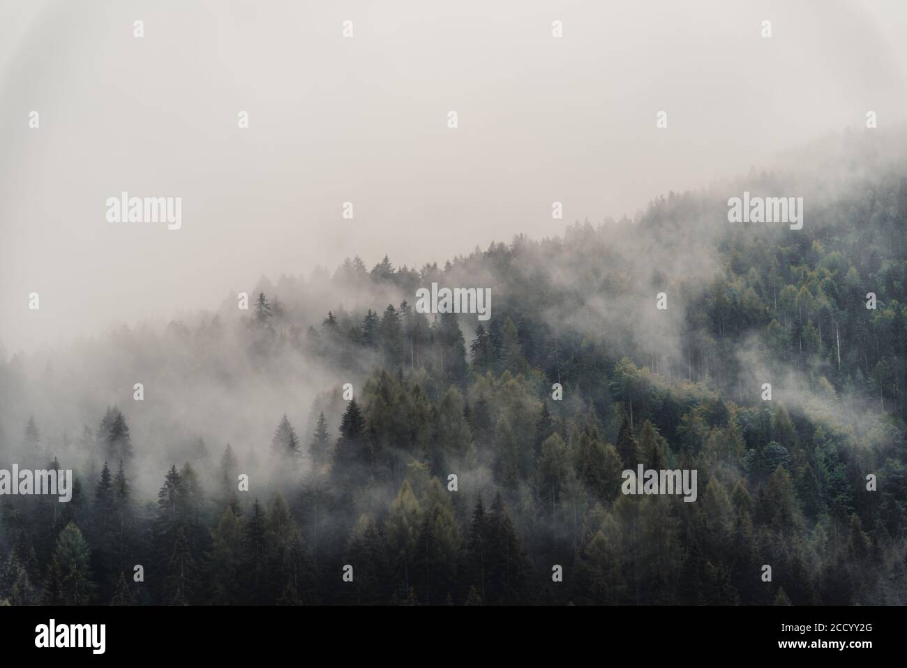 Daylight scenery scenic fog hi-res stock photography and images - Alamy