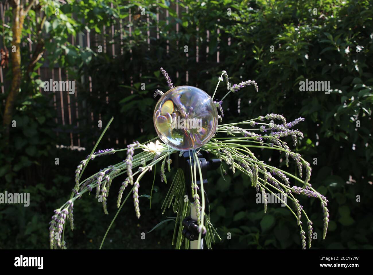 Closeup shot of a reflective glass ball Stock Photo - Alamy