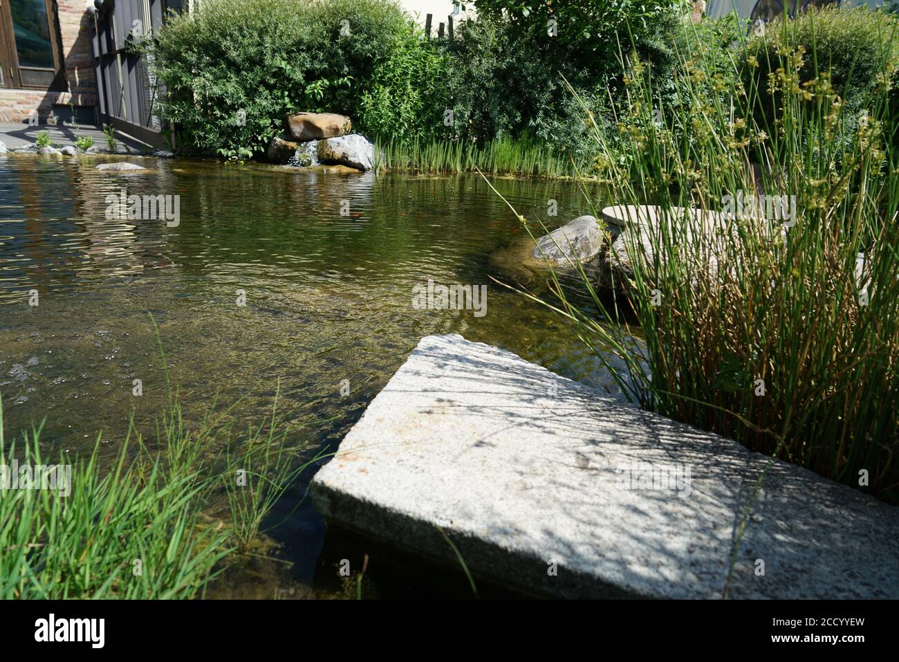 Shallow pond with big stones and plants Stock Photo - Alamy