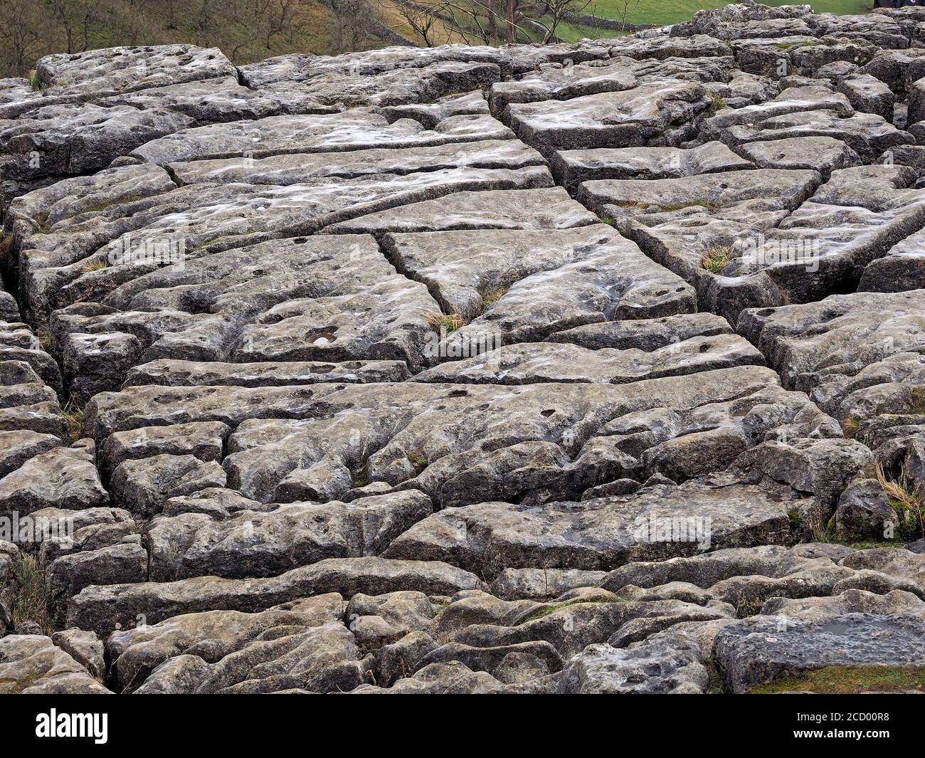 pattern created by the famous clints & grykes of limestone pavement ...