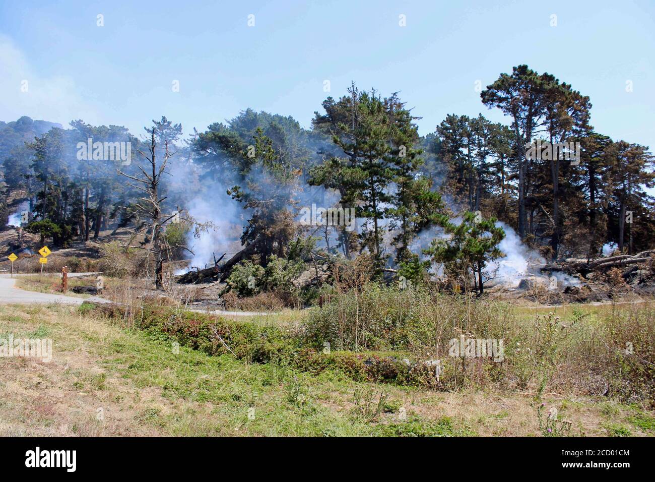 California, USA. 24th Aug, 2020. CZU Lightening Complex Fire continues ...