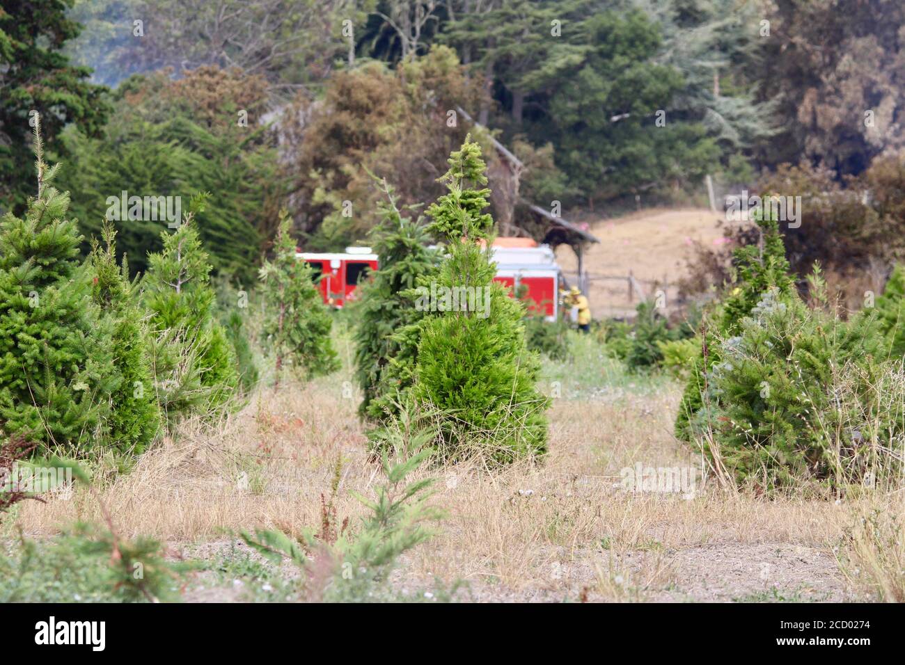 August 24, 2020, California, USA: Firefighters from Southern ...