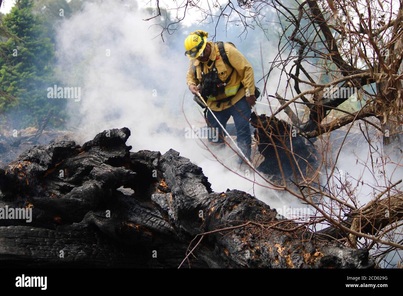 August 24, 2020, California, USA: Firefighters from Southern ...