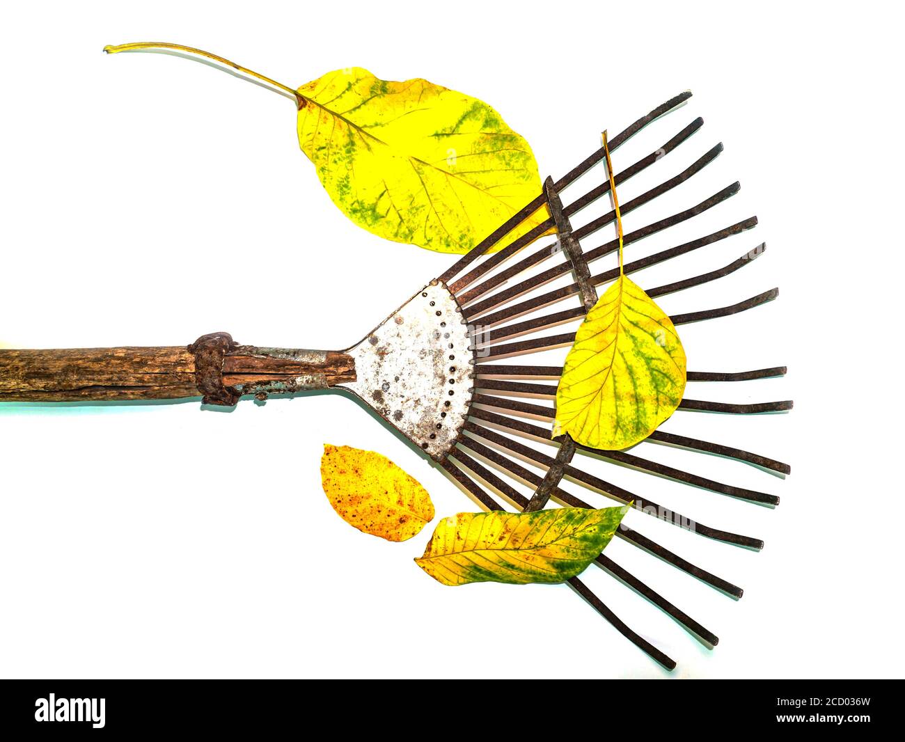 Heap fall leaves fan hi-res stock photography and images - Alamy