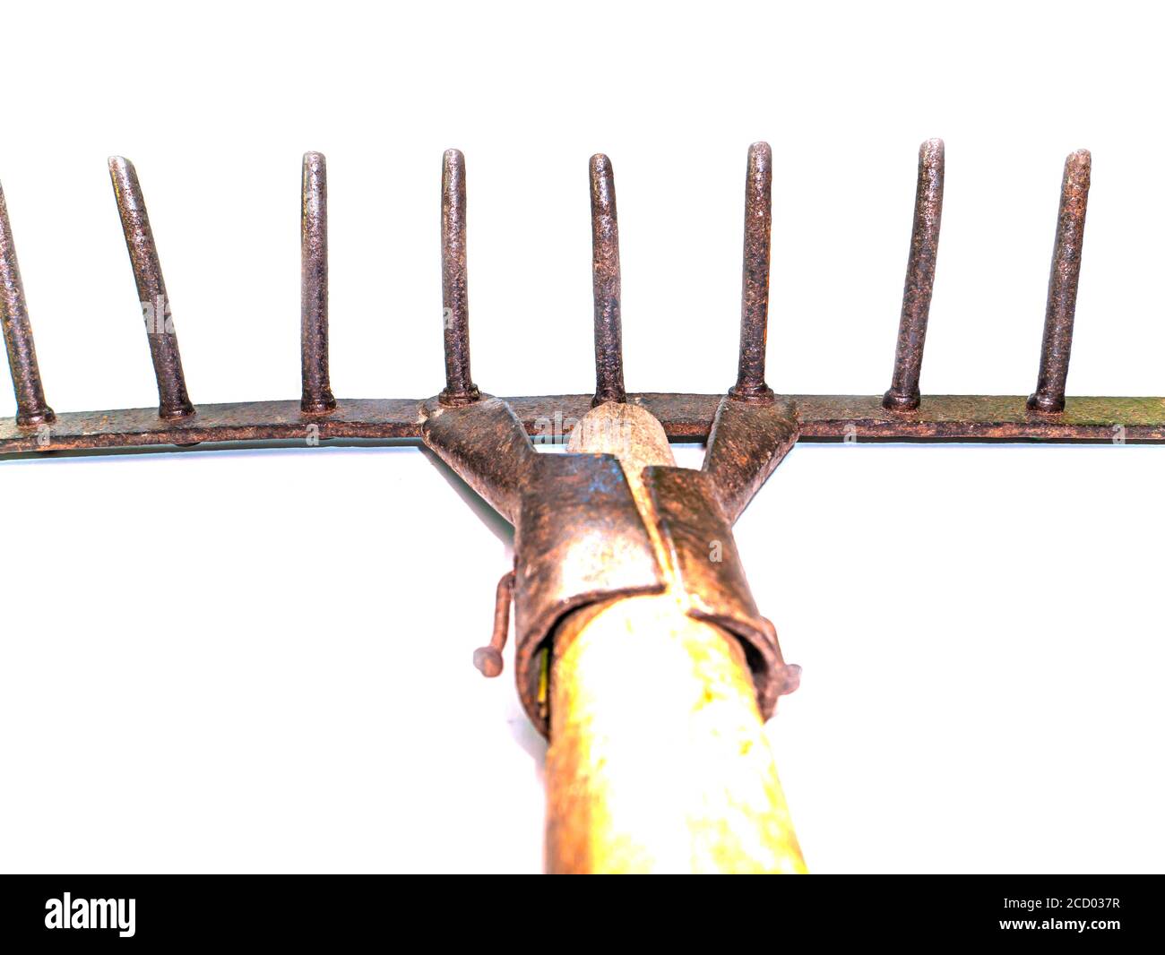 Cleaning garden fork hi-res stock photography and images - Alamy