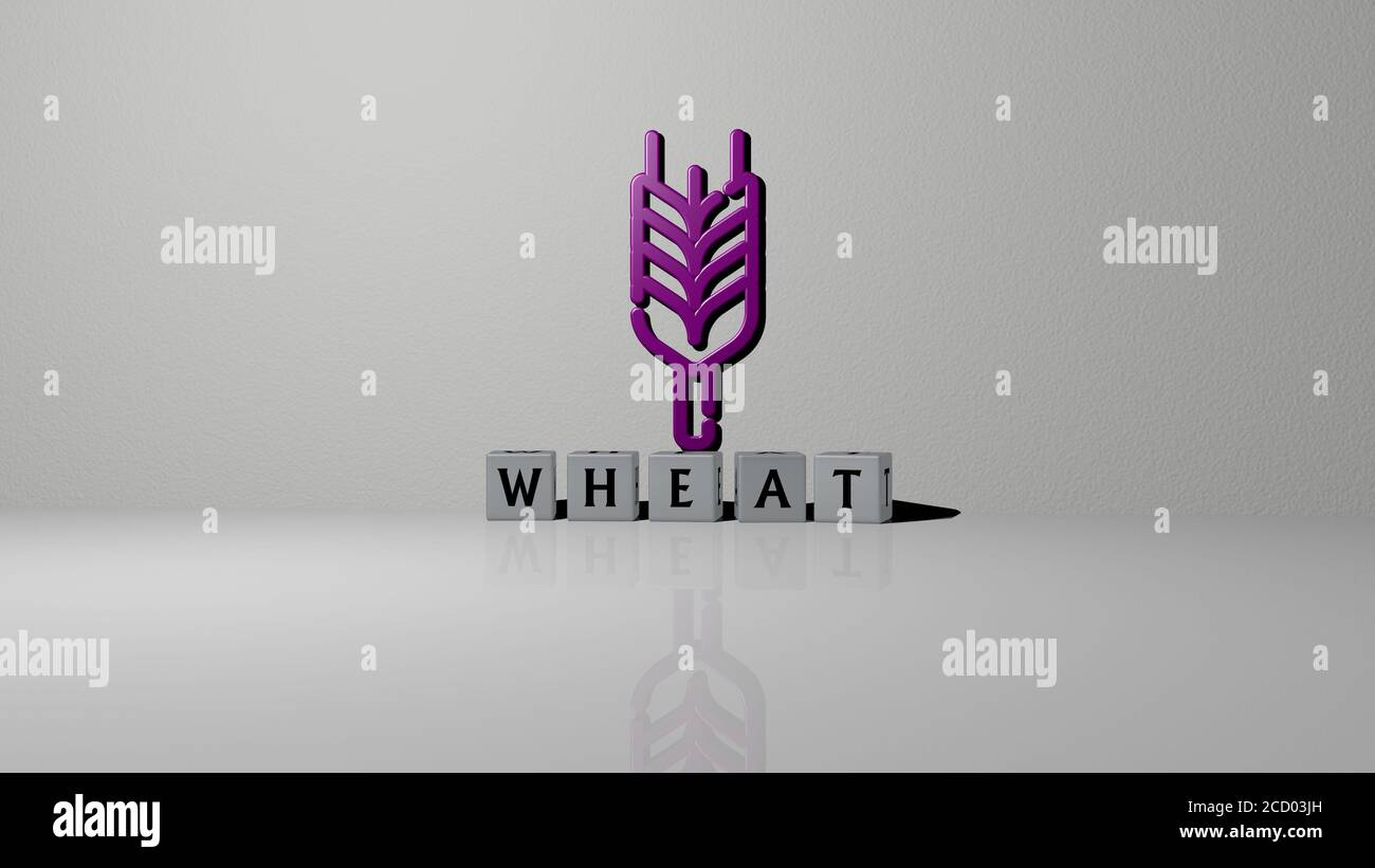 WHEAT text of cubic dice letters on the floor and 3D icon on the wall ...