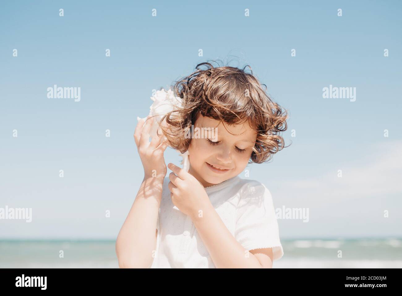 Curly shell hi-res stock photography and images - Alamy