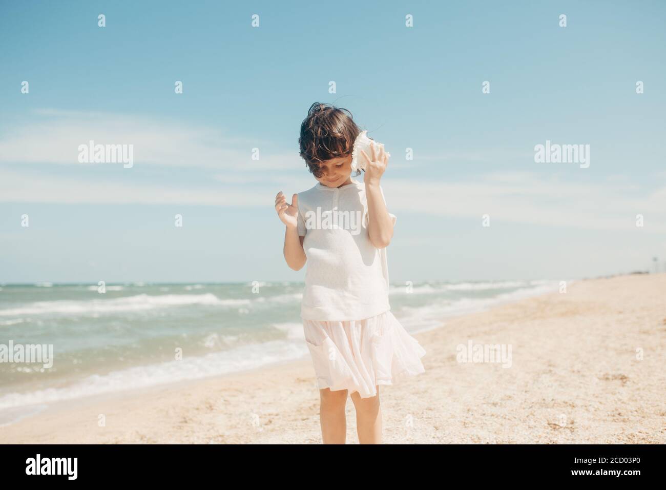 Curly shell hi-res stock photography and images - Alamy