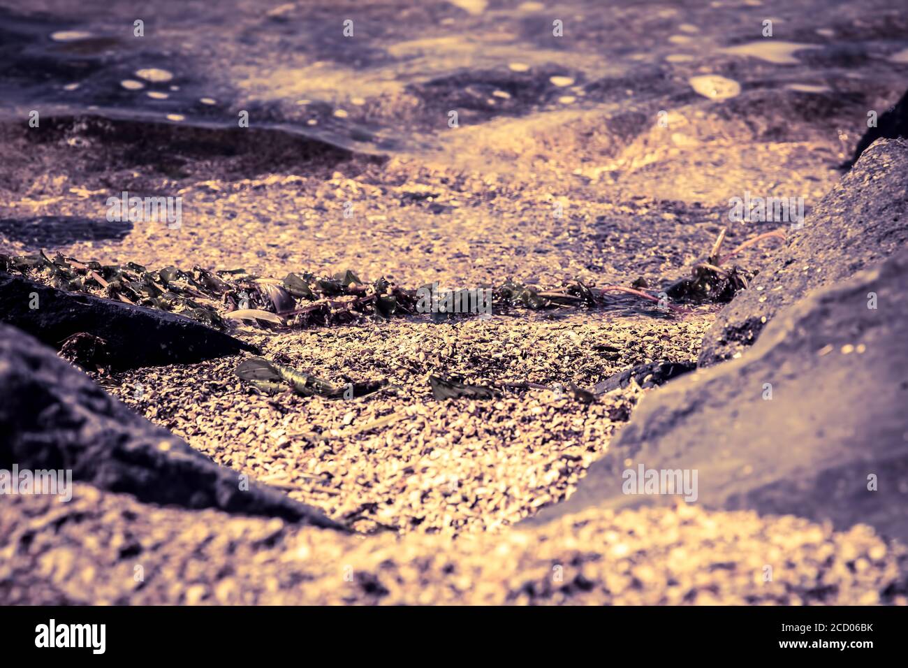 Stone At A Beach At Marken The Netherlands 6-8-2020 Stock Photo - Alamy
