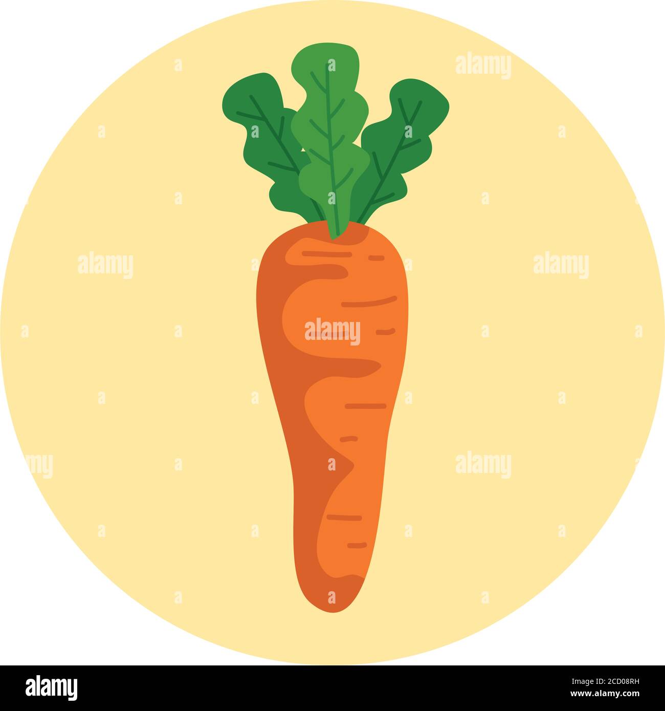fresh carrot vegetable on round frame, in white background Stock Vector Image & Art - Alamy