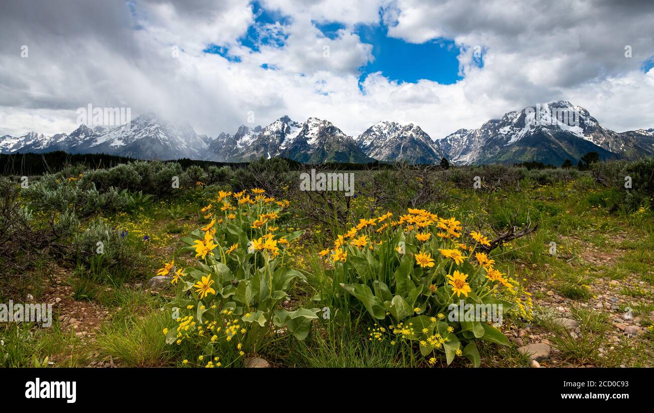 Mount Moran Grand Teton National Park Stock Photo - Alamy