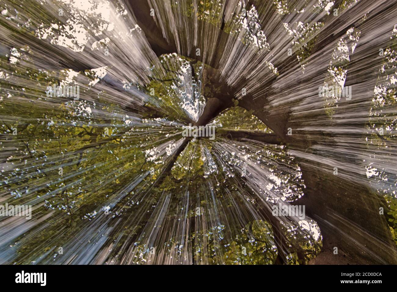 Zooming in hi-res stock photography and images - Alamy