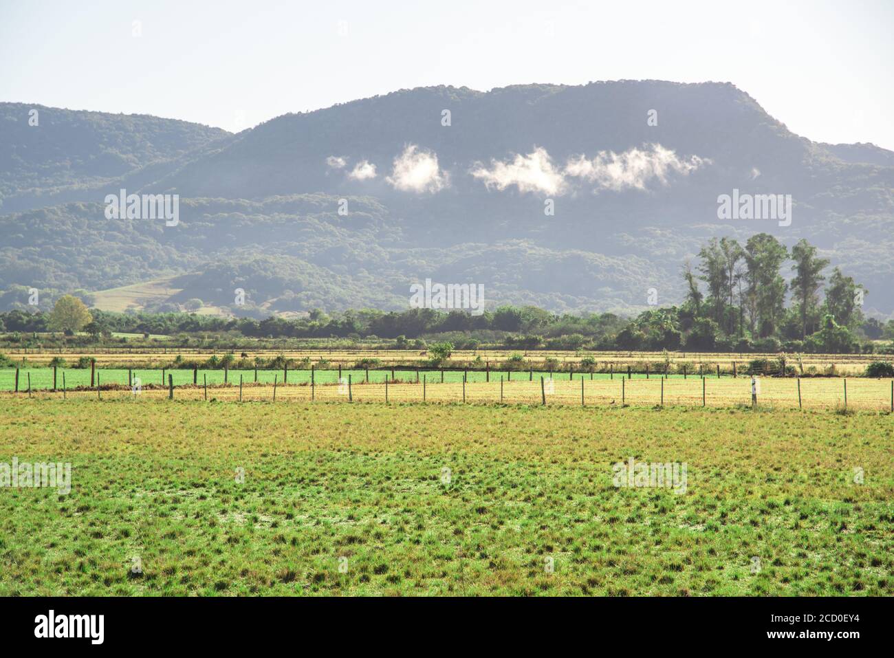 Rural landscape. Mountain range of the Serra Geral in southern Brazil ...