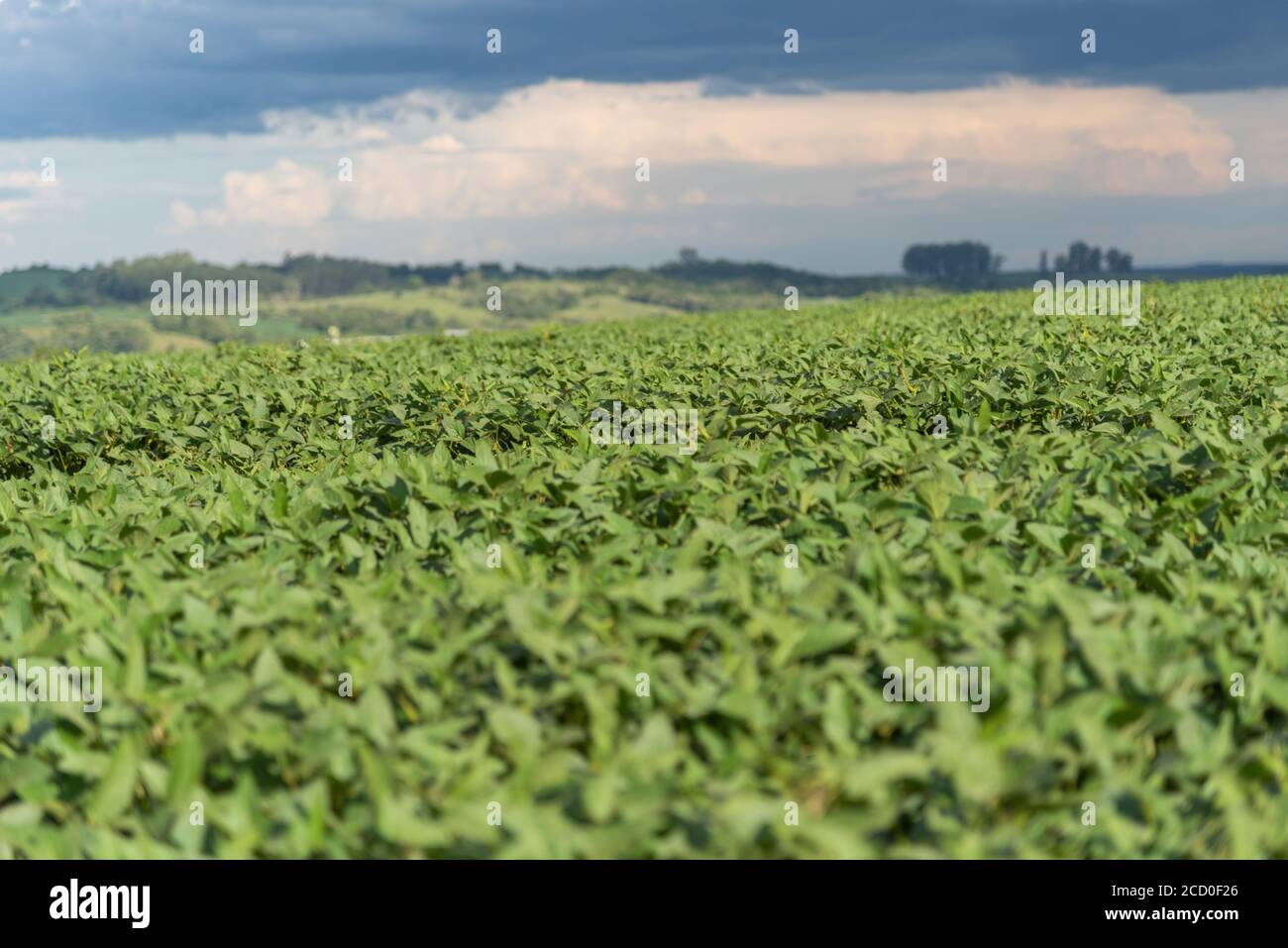 Soy tractor farm brazil hi-res stock photography and images - Alamy