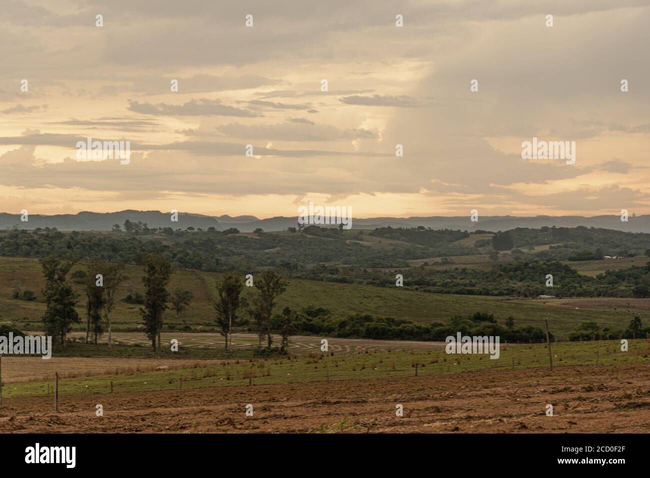 Farming region southern brazil hi-res stock photography and images - Alamy