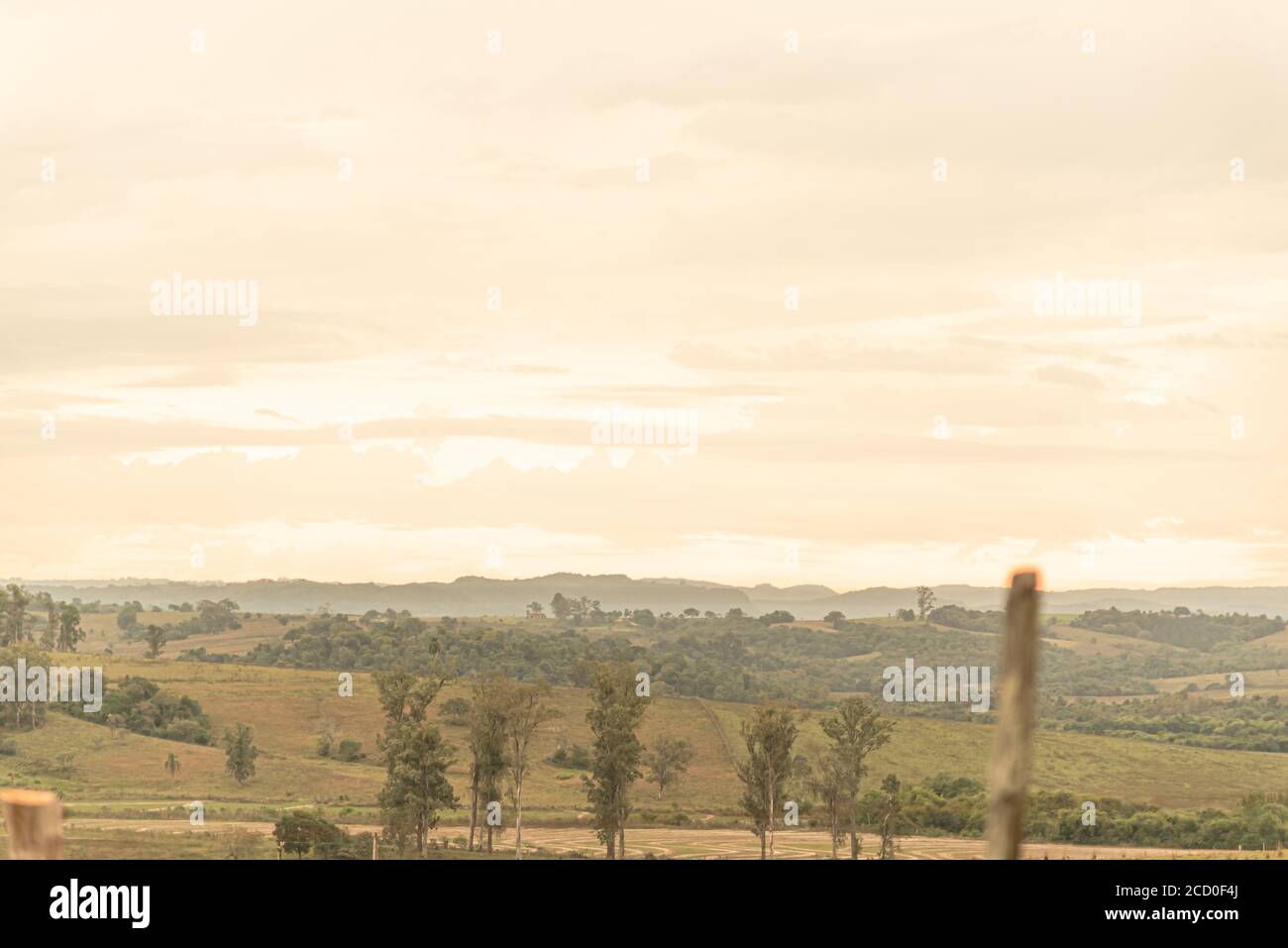 Farming region southern brazil hi-res stock photography and images - Alamy