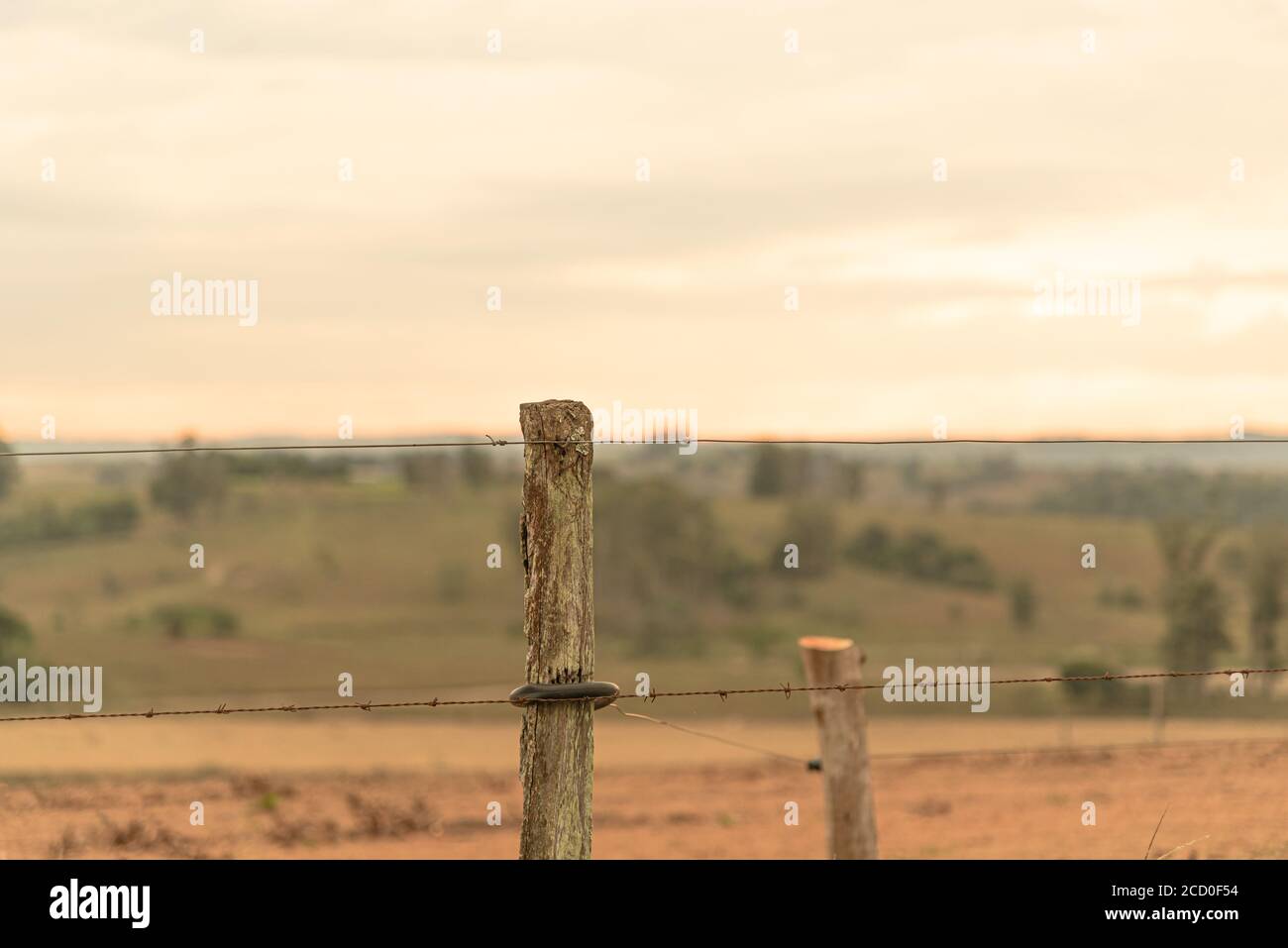 Farming region southern brazil hi-res stock photography and images - Alamy