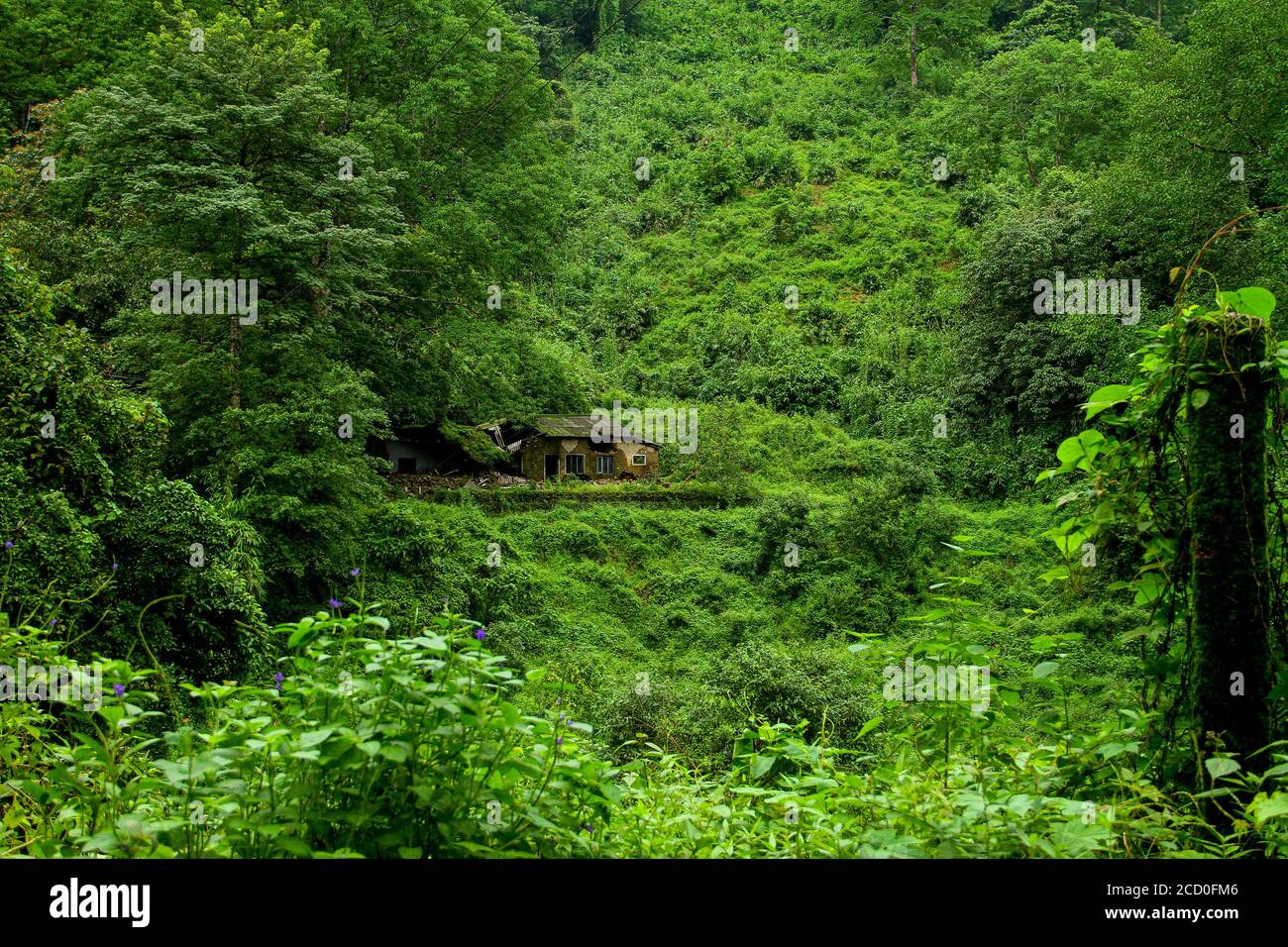 Natural beauty in Kerala tourism, god's own land, Kerala tourist ...