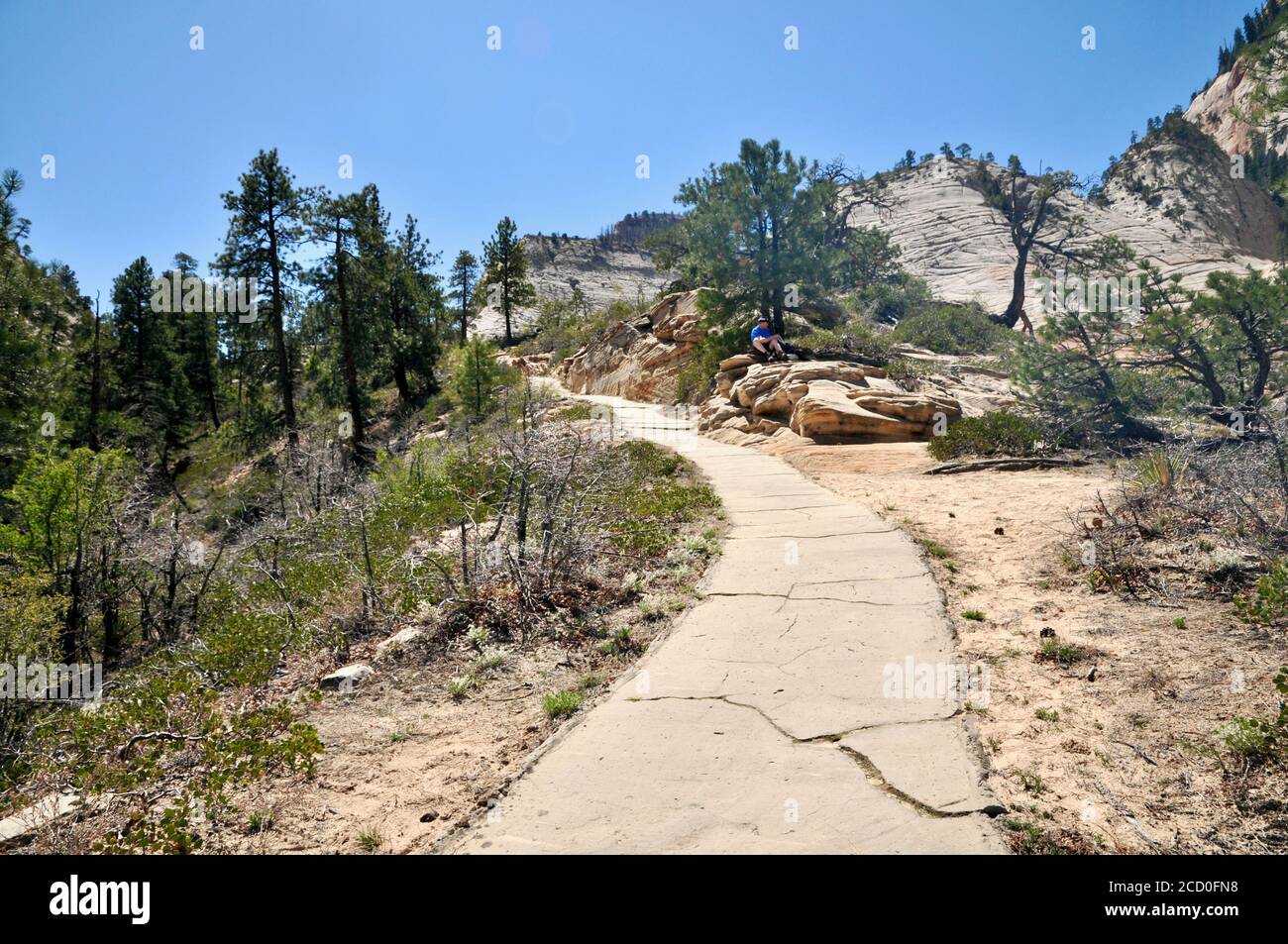 Man Resting on the Rocks Under a Tree after a Long Hike on a Canyon ...