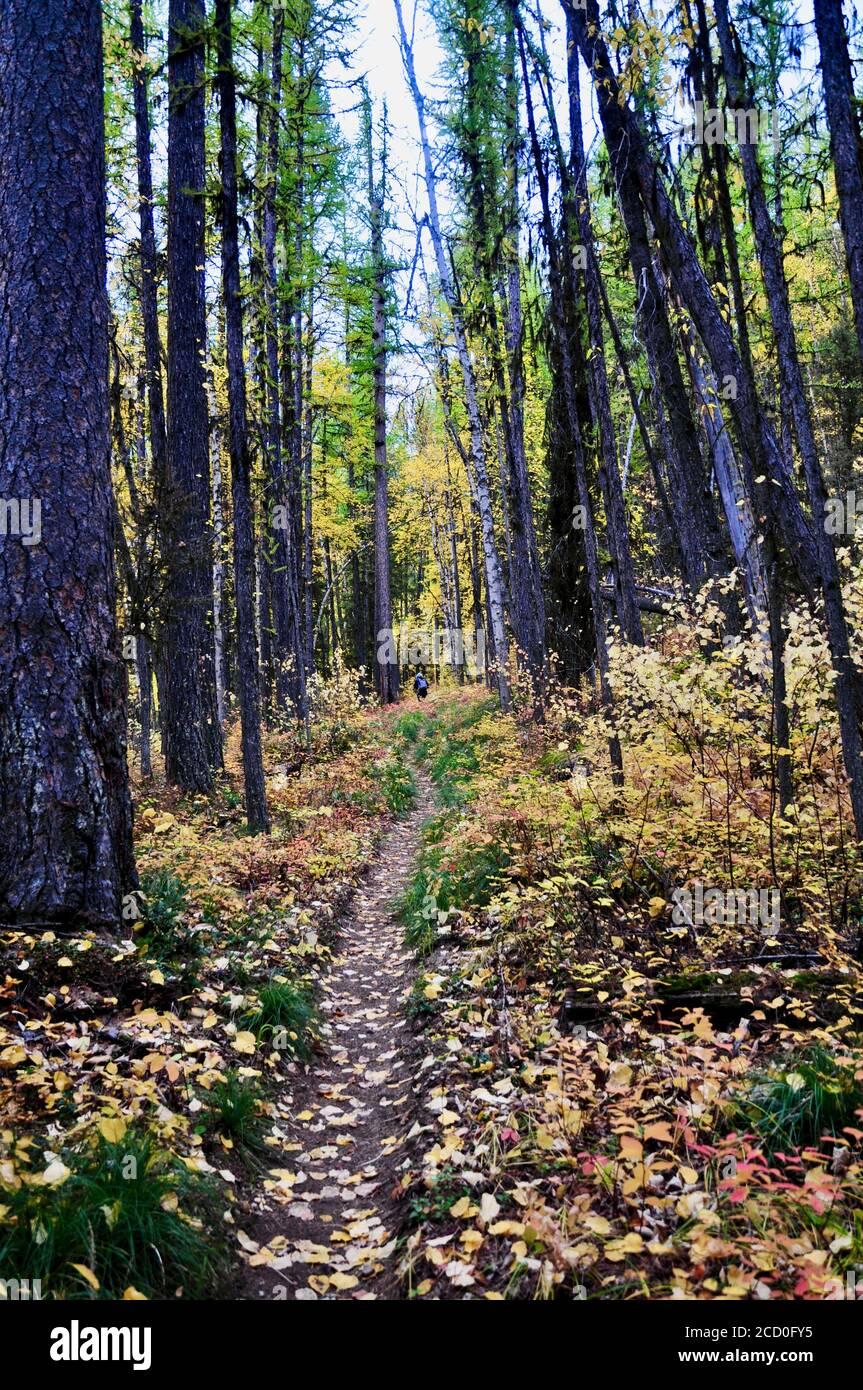 Colorful hike hi-res stock photography and images - Alamy