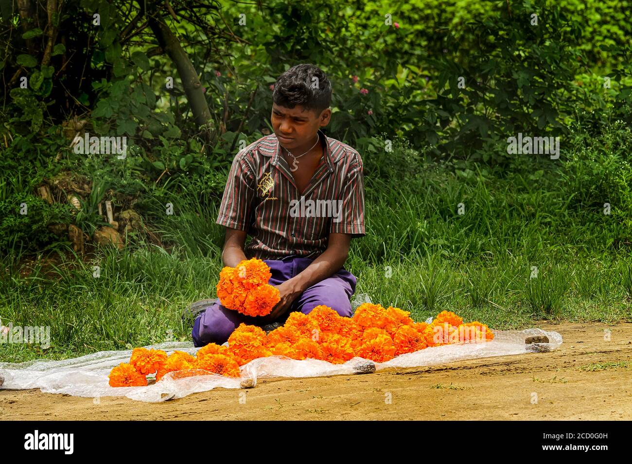 a flower selling boy in India selling orange flowers on roadside summer ...