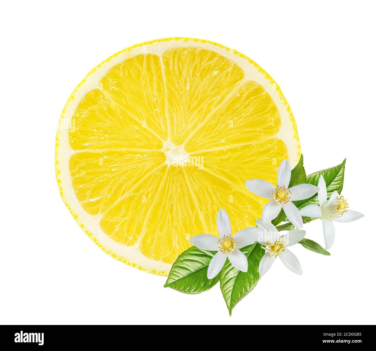 Fresh lemon isolated on white background Stock Photo - Alamy
