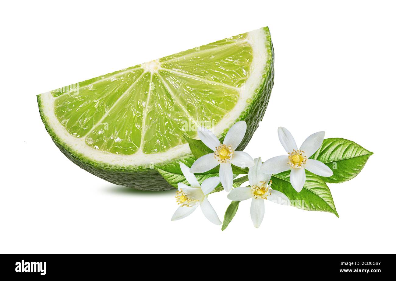 Fresh green lime isolated on white background. Citrus and tropical ...