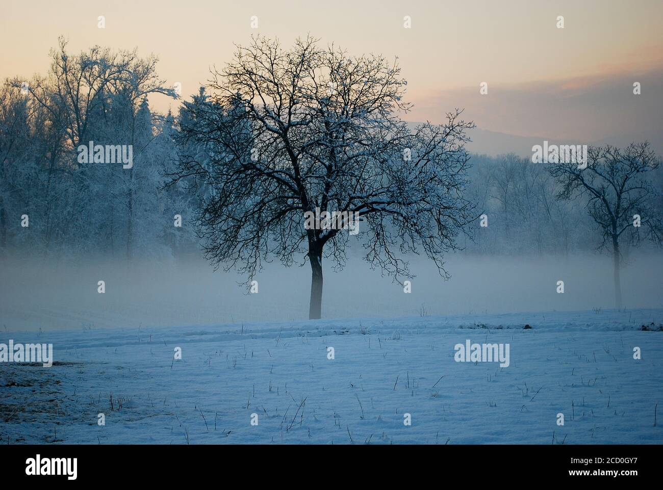 fog and snow Stock Photo - Alamy