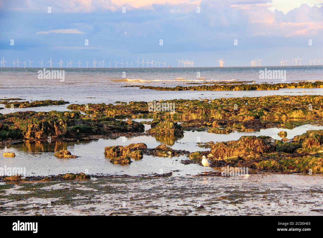 Rock pools at Kingsgate Beach, near Broadstairs, Kent, South East ...