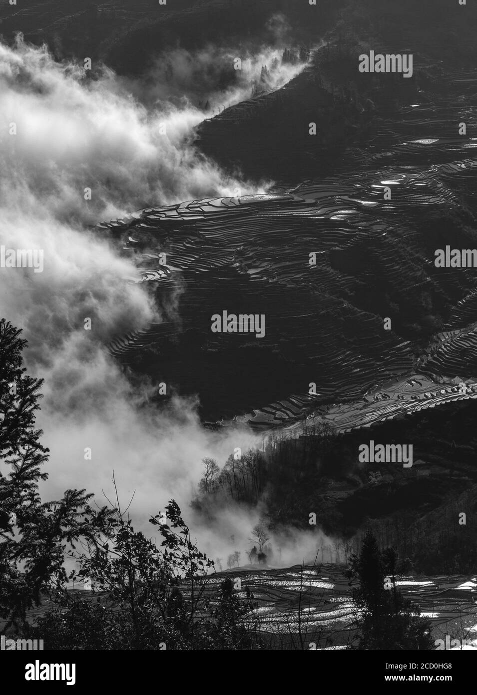 Sunrise over rice terraces of Yuanyang, south Yunnan province, China ...