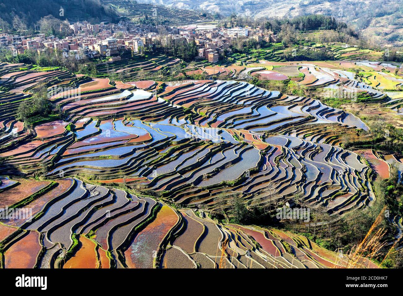 Sunrise over rice terraces of Yuanyang, south Yunnan province, China ...