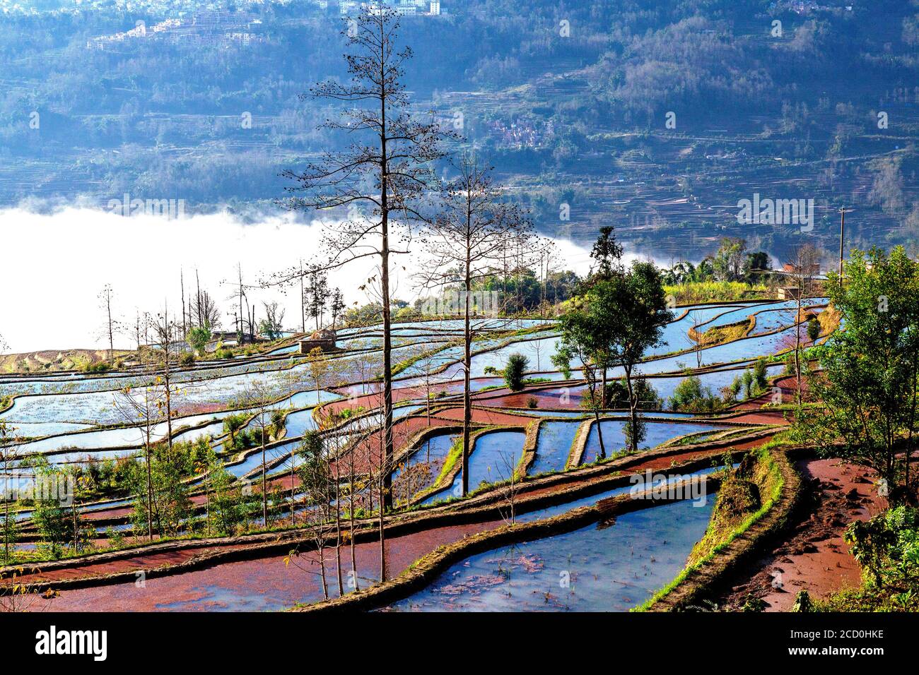 Sunrise over rice terraces of Yuanyang, south Yunnan province, China ...