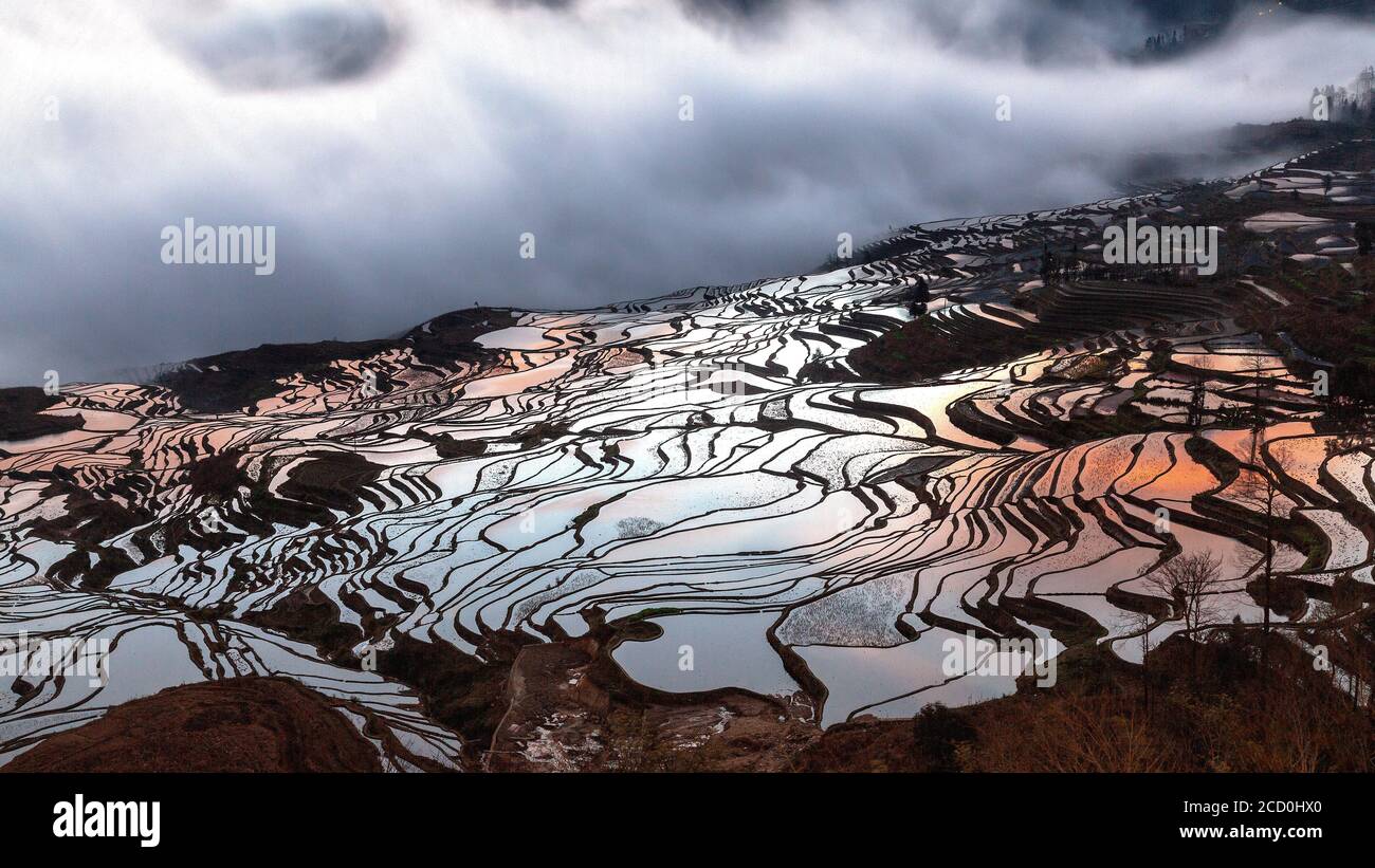 China yunnan yuanyang terraced color hi-res stock photography and ...