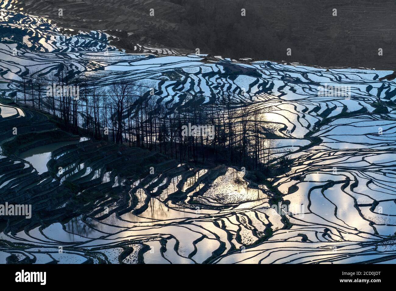 Sunrise over rice terraces of Yuanyang, south Yunnan province, China ...