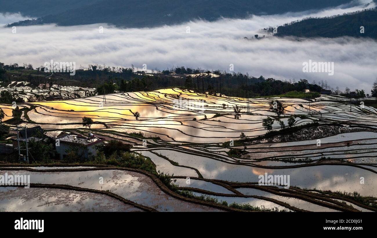 Sunrise over rice terraces of Yuanyang, south Yunnan province, China ...