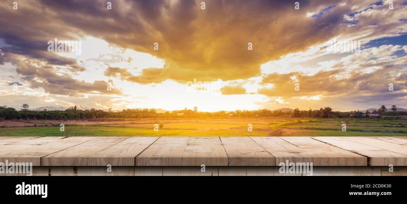 Rice field sunset and Empty wood table for product display and montage ...