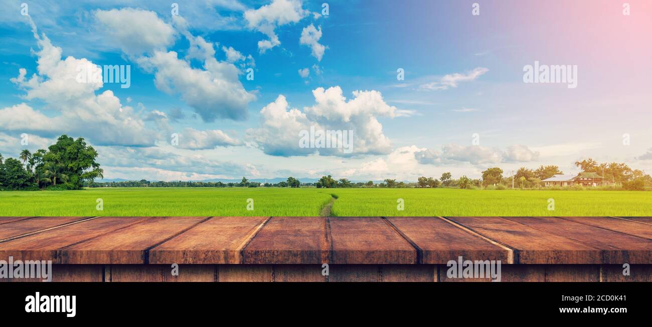 Rice field sunlight and Empty wood table for product display and ...