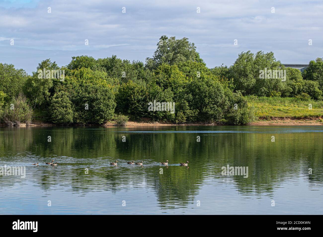Burton Riggs Nature Reserve Stock Photo - Alamy