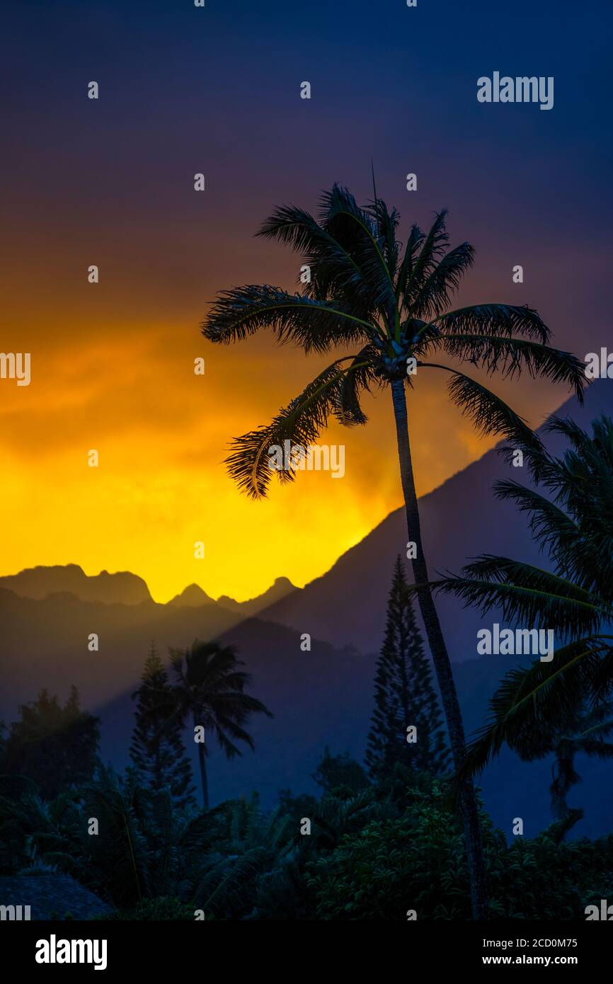 Silhouetted palm tree and peaks of mountains at sunset, Ka'elepulu ...